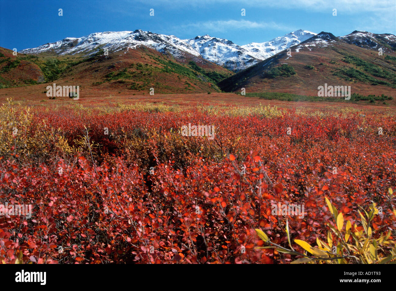 Landscape saturated with many colors hi-res stock photography and ...