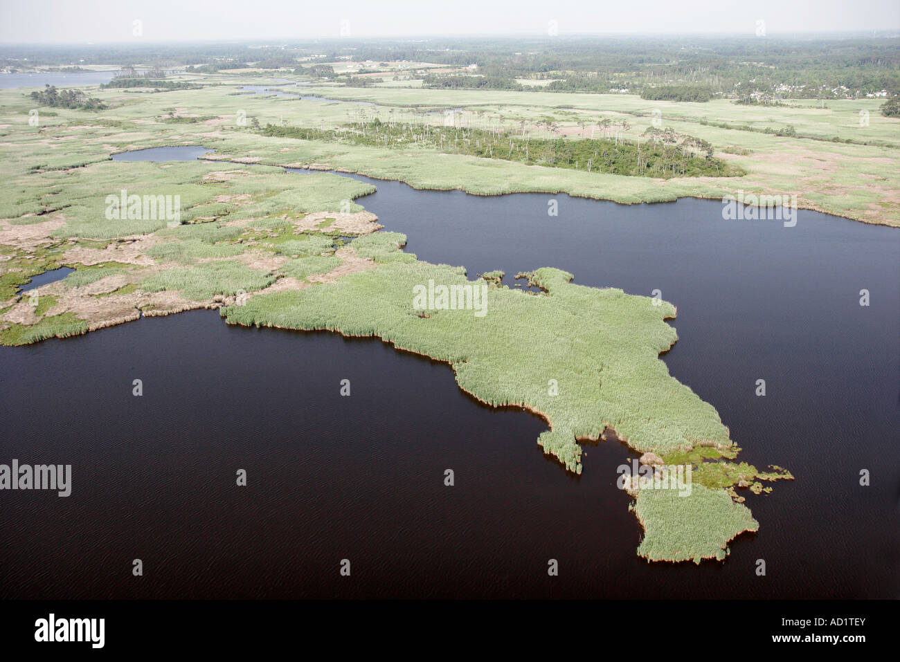 Virginia virginia beach aerial overhead above view hi-res stock ...
