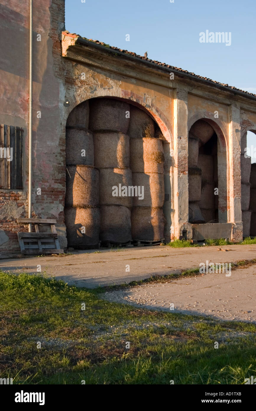 Old farm in Zibello, Parma, Italy Stock Photo - Alamy