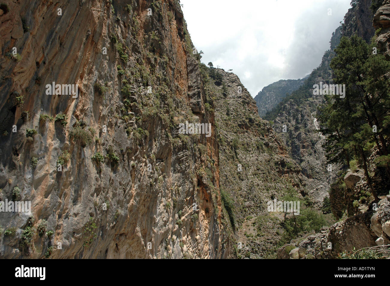 Samaria Gorge national park in the greek island of Crete Stock Photo ...