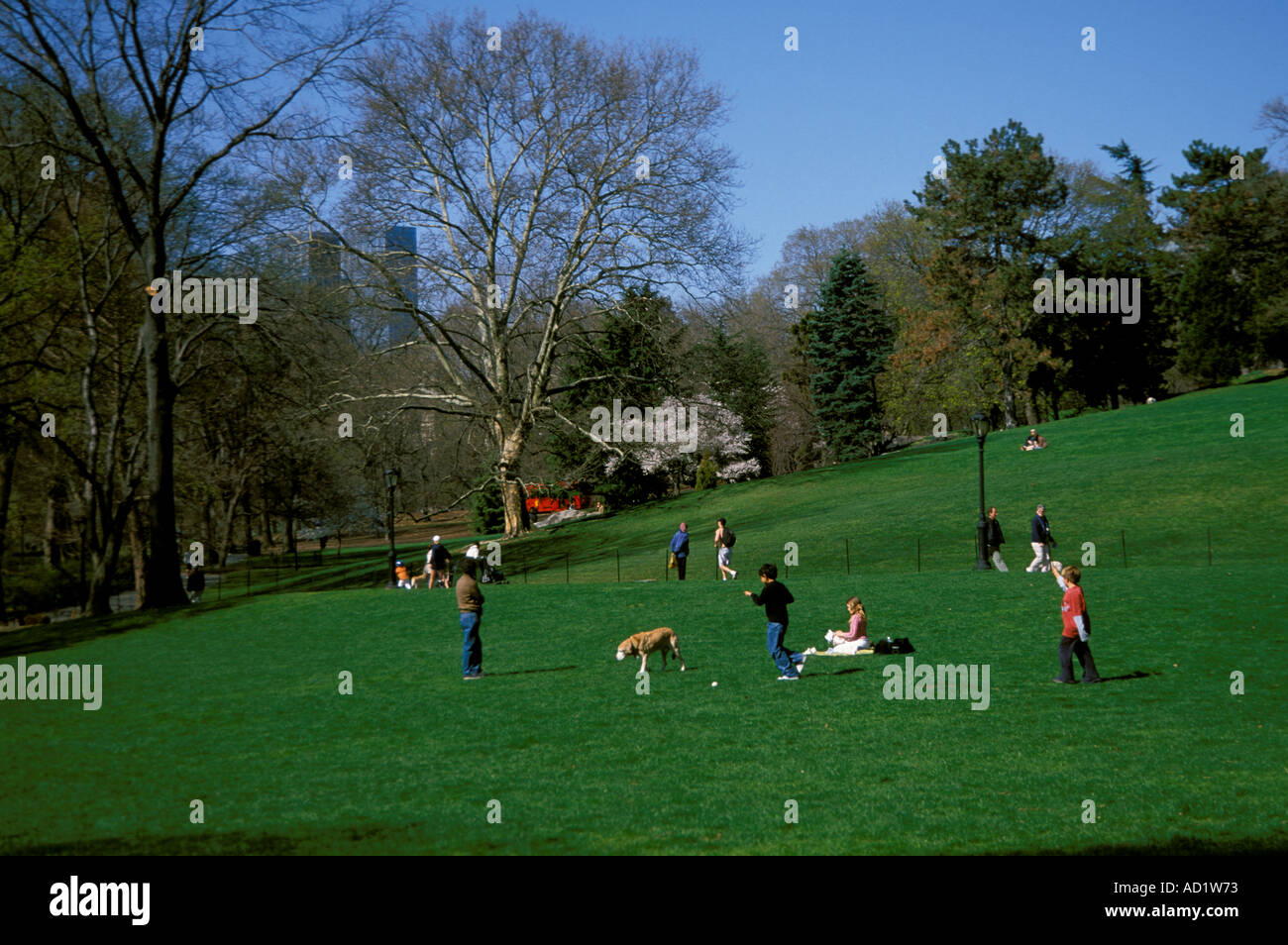 people children families enjoying springtime on lawn in central park ...