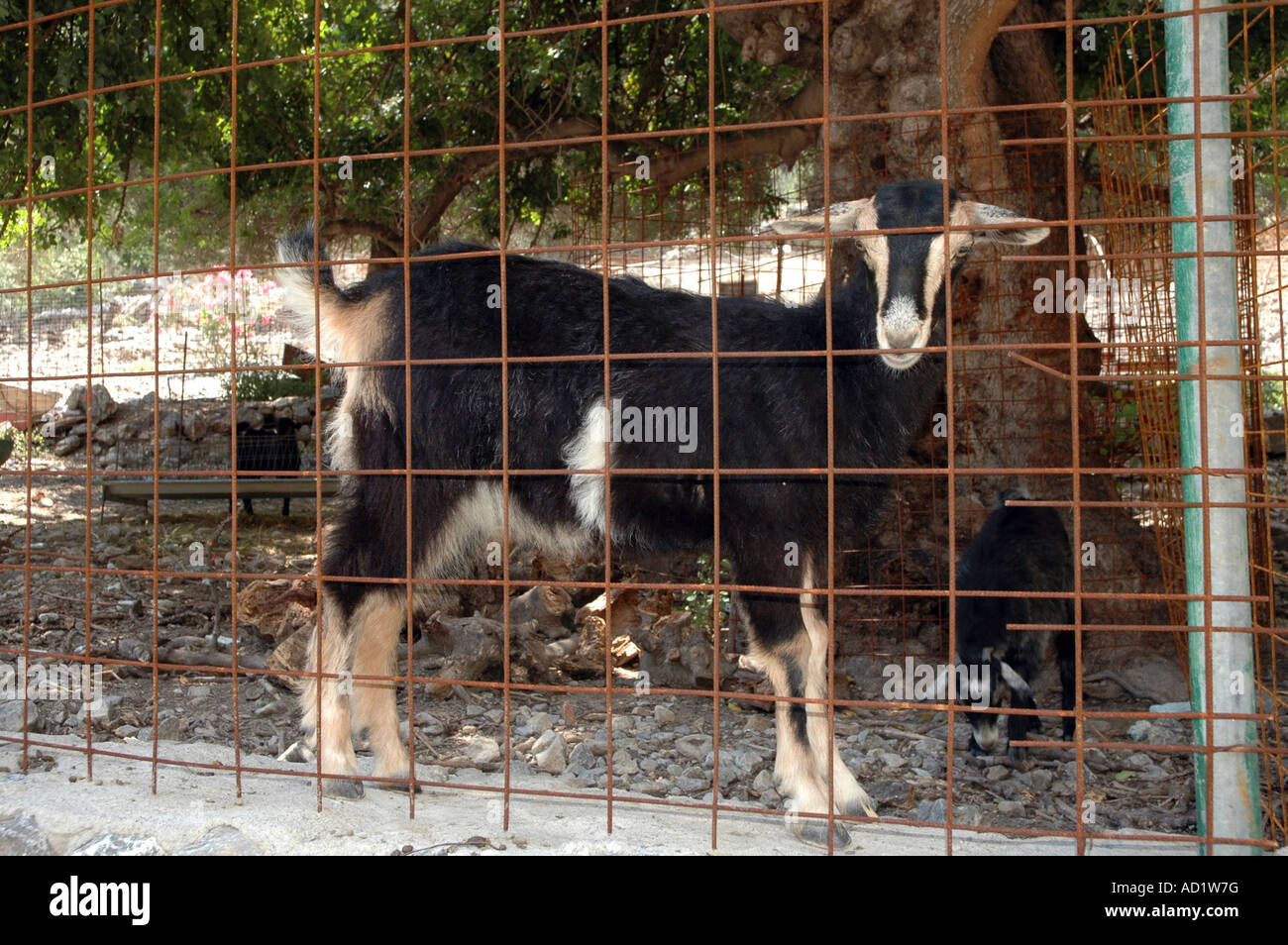 Samaria gorge agia rumeli hi-res stock photography and images - Alamy