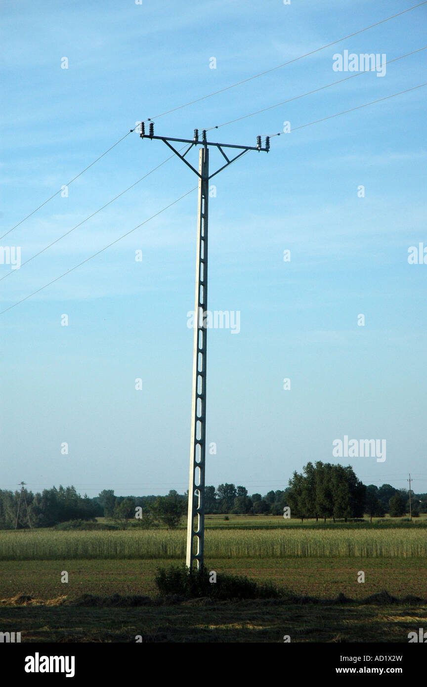 Electricity pole on field in Poland Stock Photo - Alamy