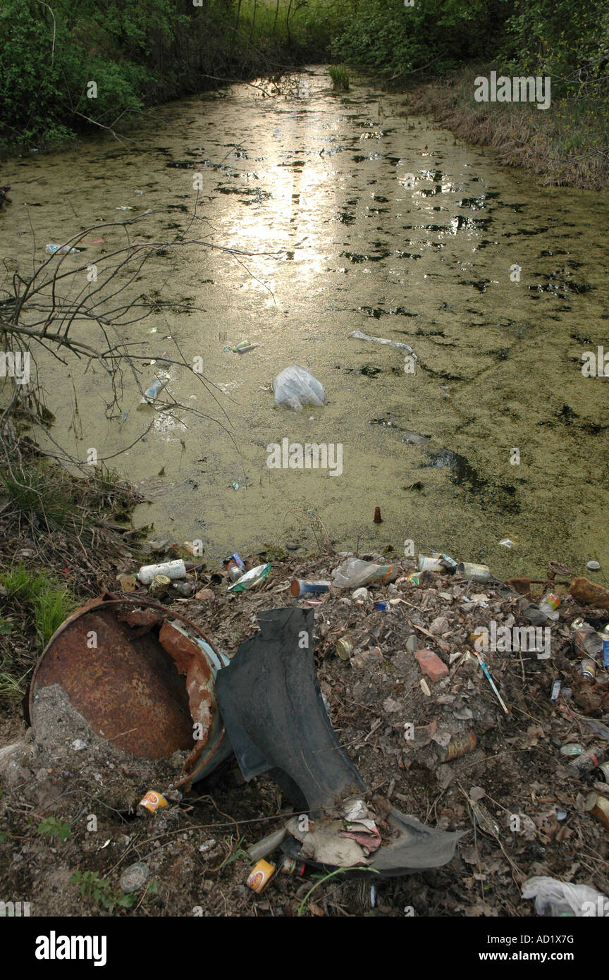 Littered forest hi-res stock photography and images - Alamy