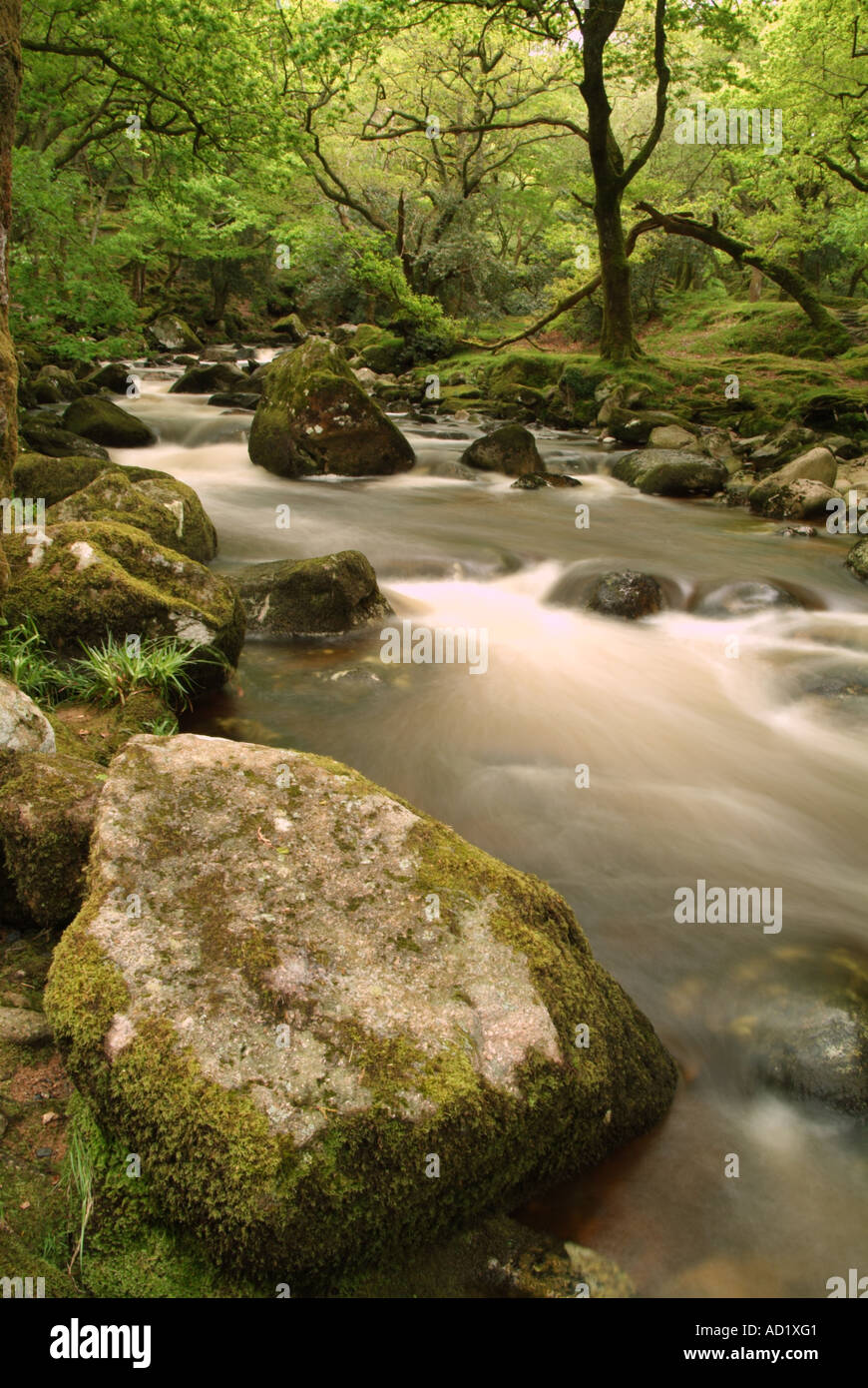 River Plym Shaugh Prior Devon UK Stock Photo - Alamy