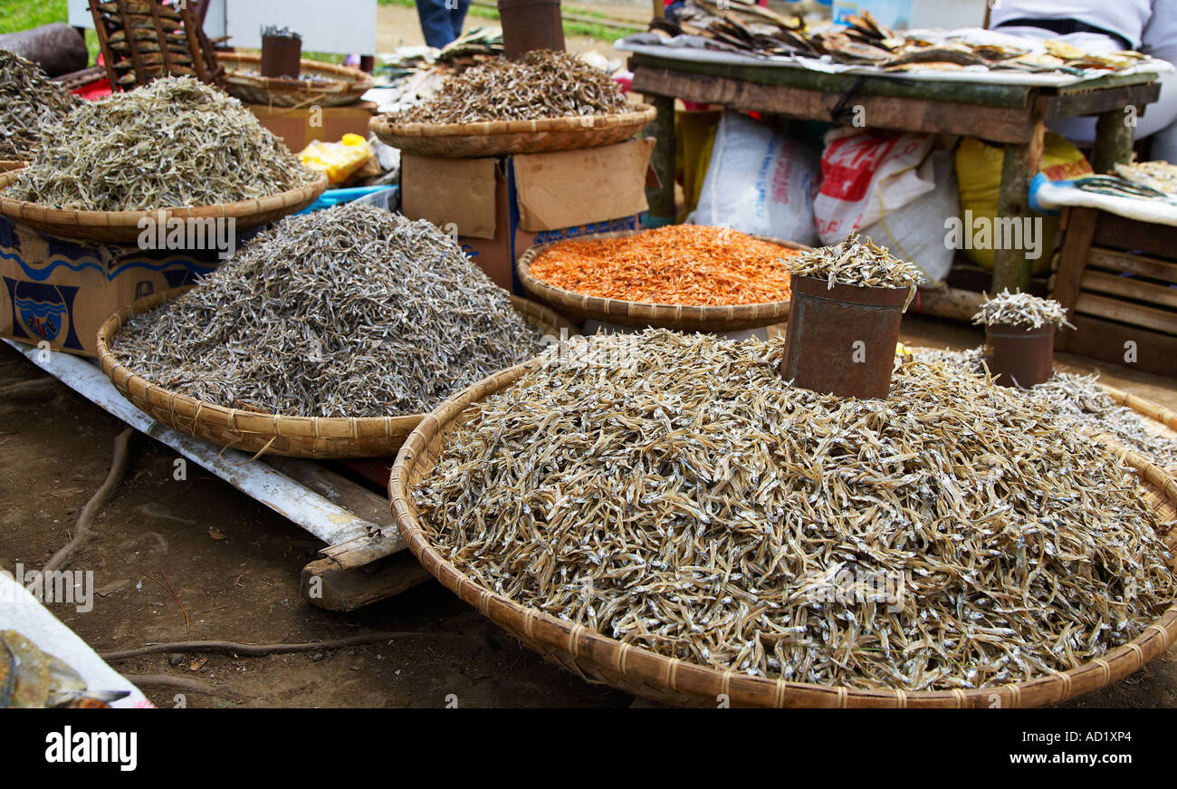 Dried Fish at Indonesian Market in North Sulawesi, Indonesia Stock ...
