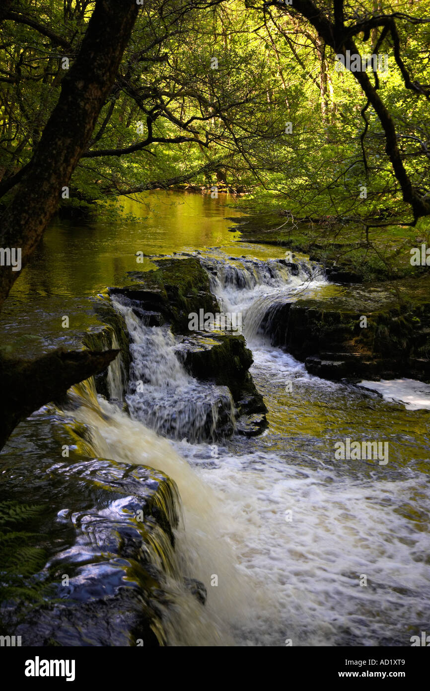 Waterfalls, Pontneddfechan, Neath Valley, Wales, UK Stock Photo - Alamy