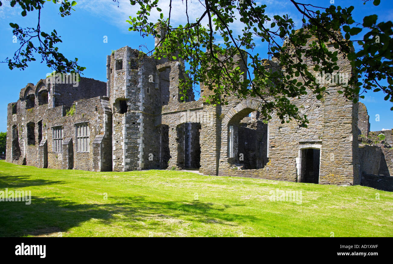 Neath Abbey High Resolution Stock Photography and Images - Alamy