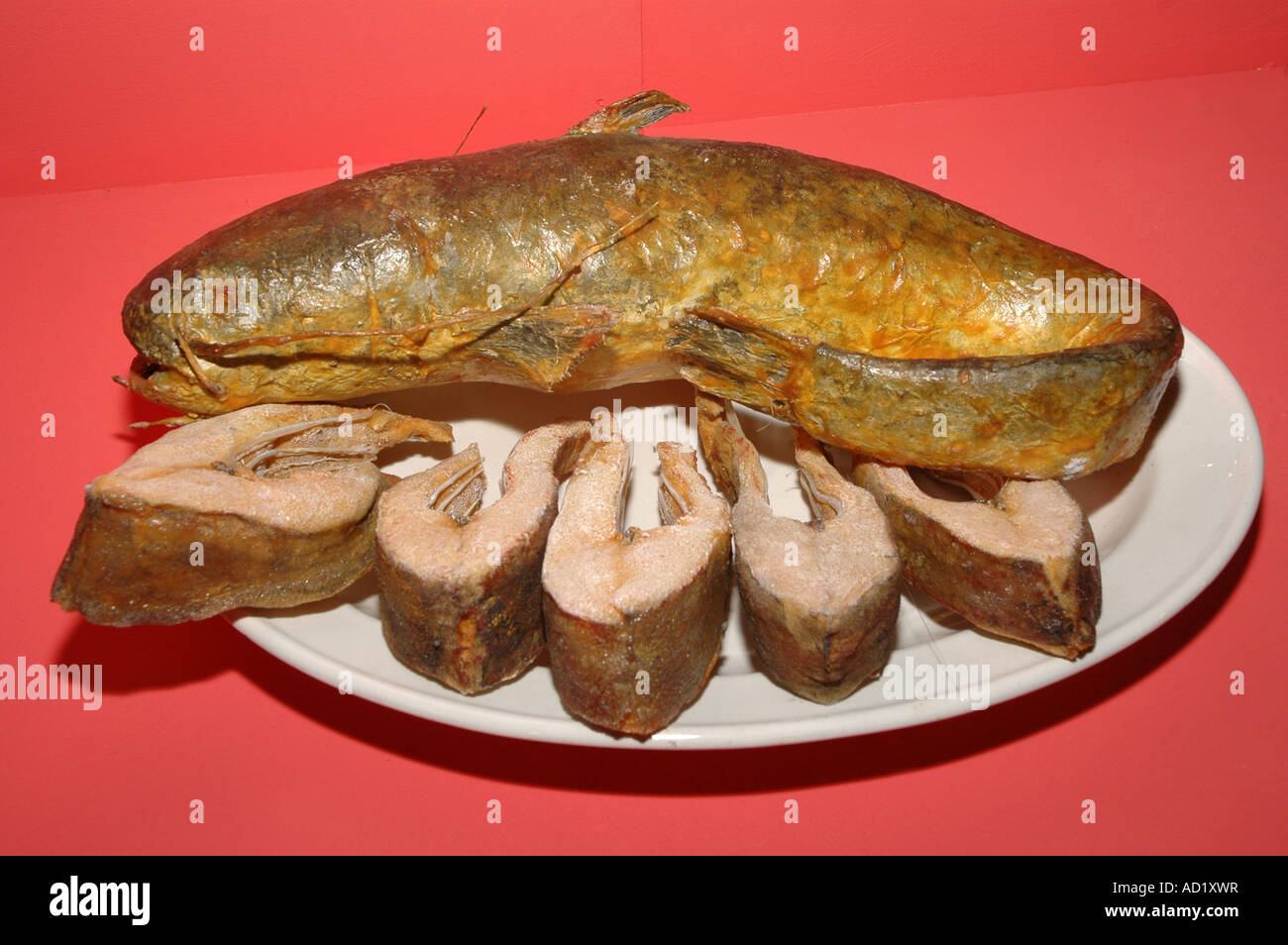 Sheat fish hi-res stock photography and images - Alamy