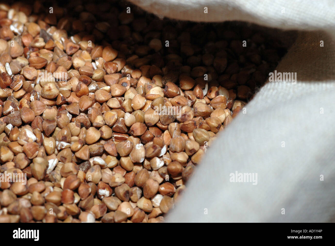 Buckwheat groats seeds Stock Photo - Alamy