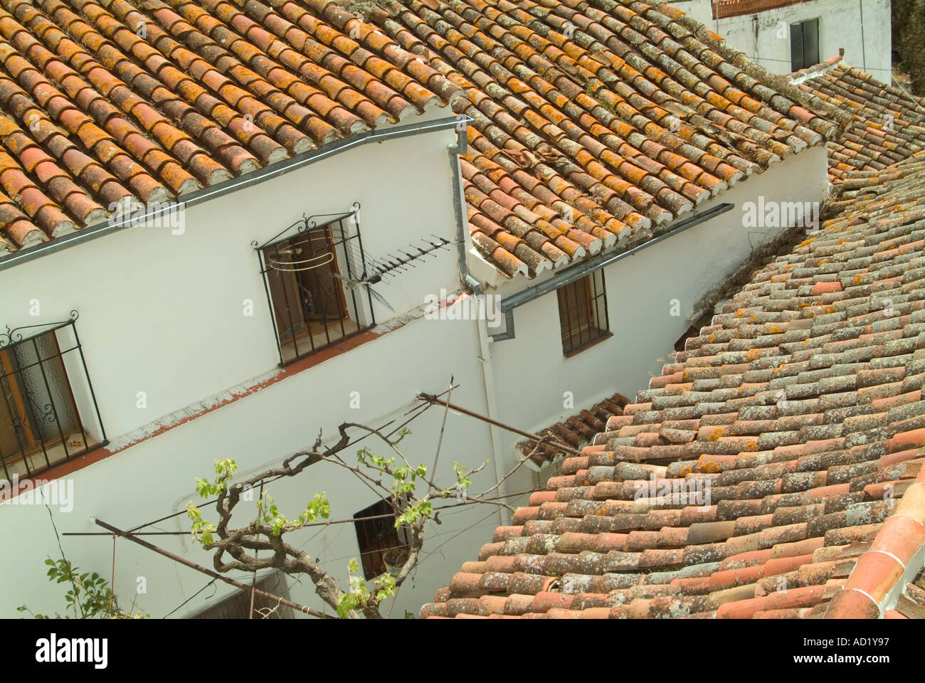 Typical Spanish red tiled roofs Stock Photo - Alamy