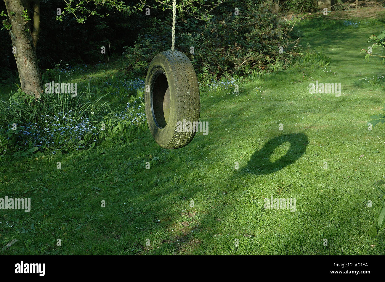 Swinging tyre on a rope in an English Country Garden of Oxfordshire ...