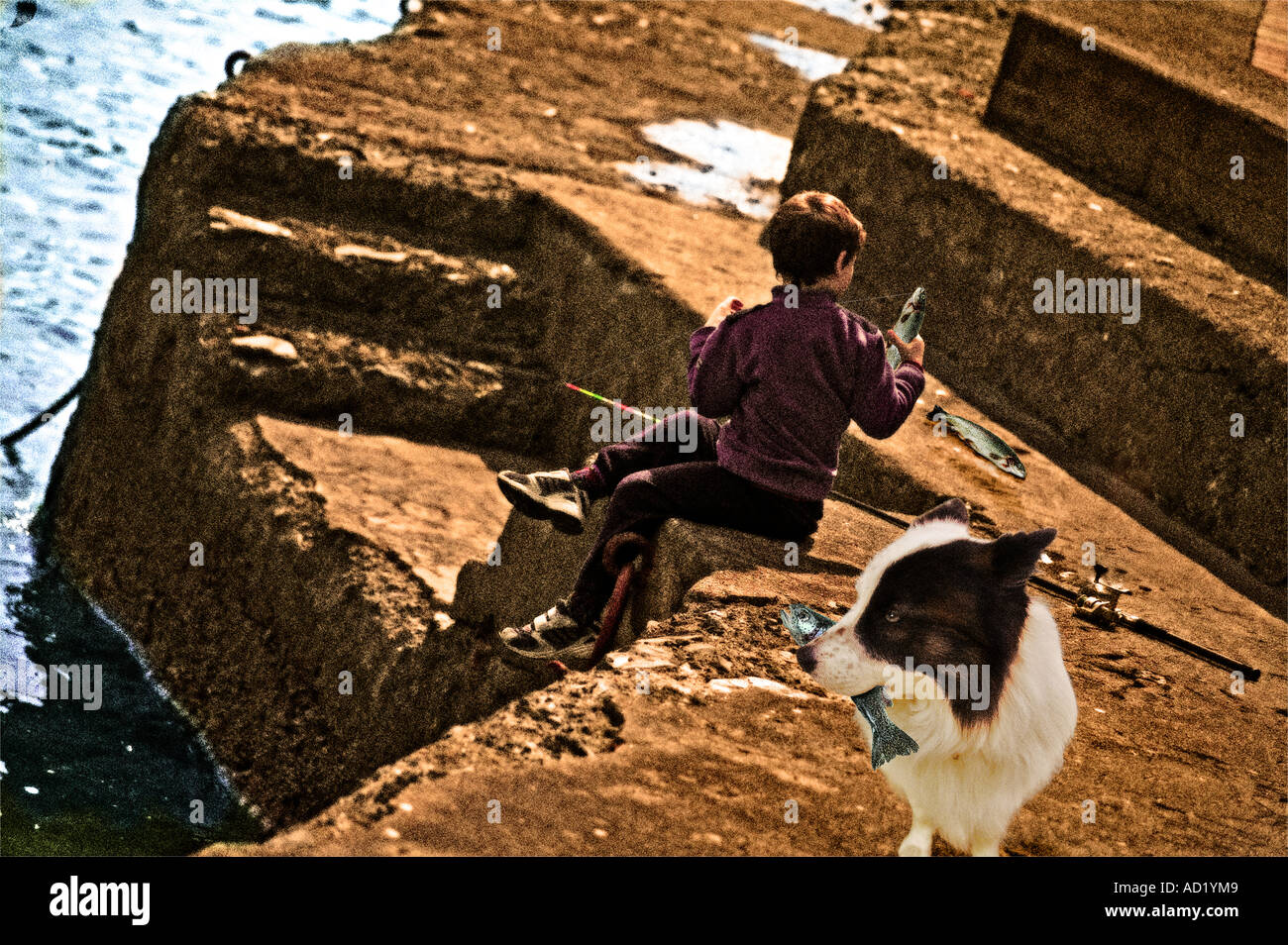 Boy fish humor hi-res stock photography and images - Alamy