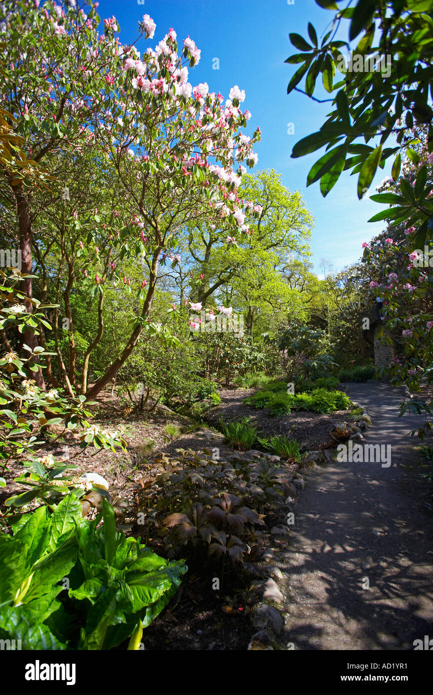 Clyne Gardens, in the City of Swansea, Wales, UK Stock Photo - Alamy