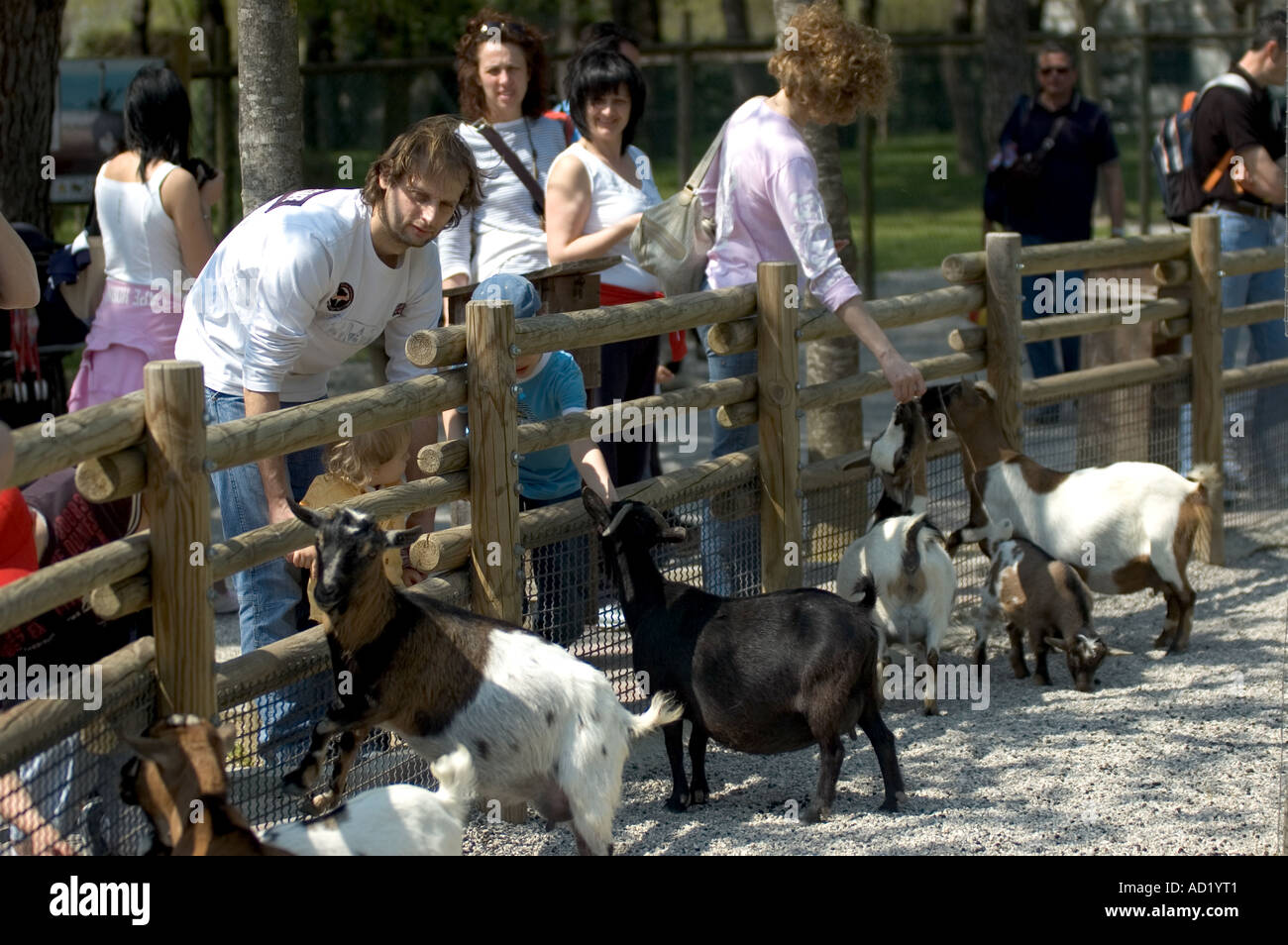 farm at zoo punta verde of lignano - udine italy Stock Photo - Alamy