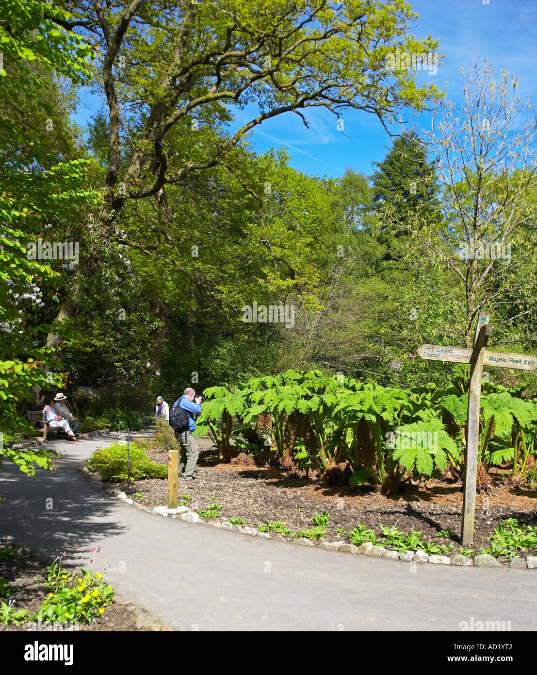 Clyne Gardens, in the City of Swansea, Wales, UK Stock Photo - Alamy