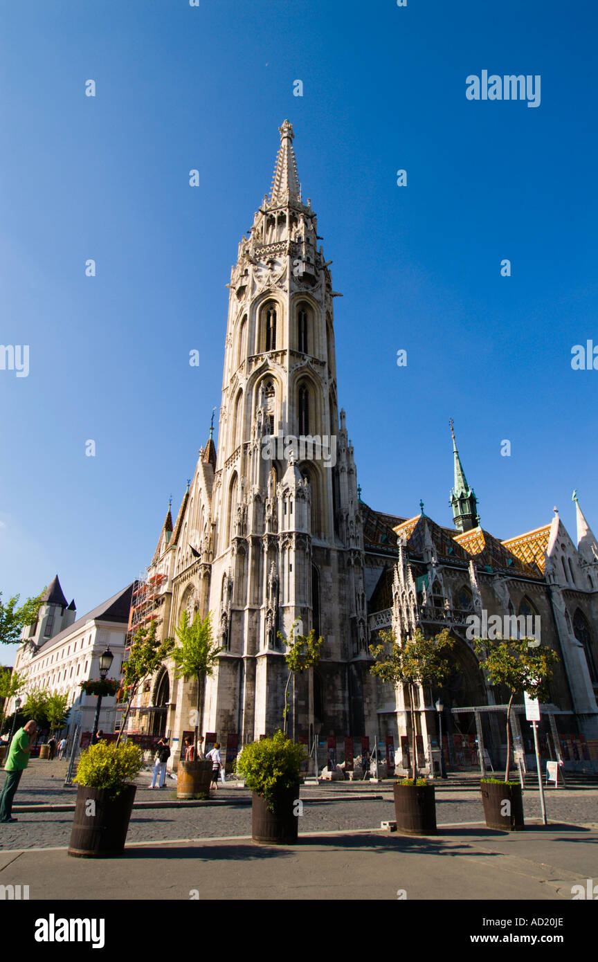 Buda limestone hi-res stock photography and images - Alamy