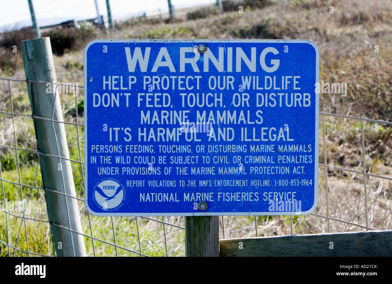 NOAA Marine Mammal Sign Stock Photo - Alamy