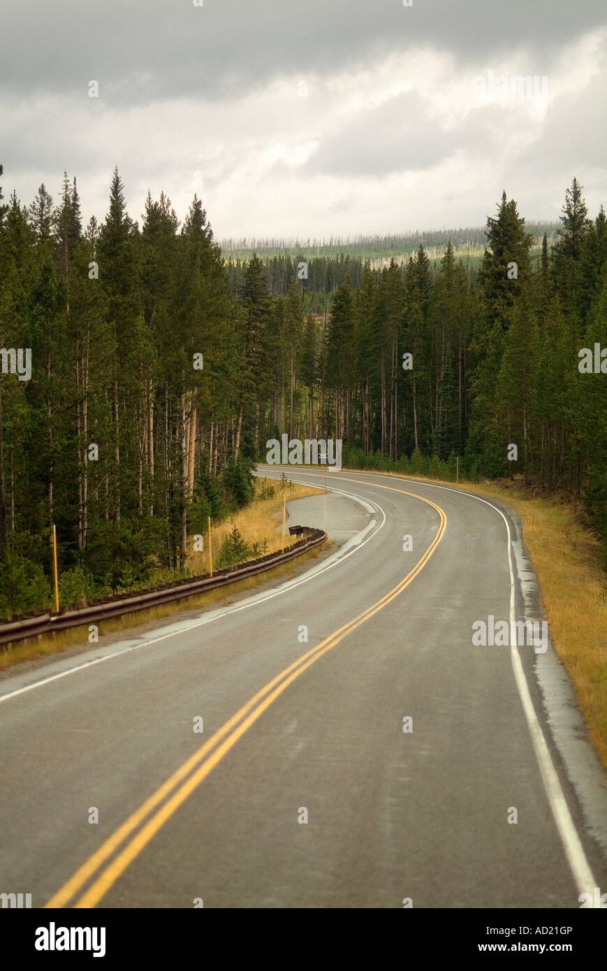 Road through Yellowstone National Park. Montana State. USA Stock Photo ...
