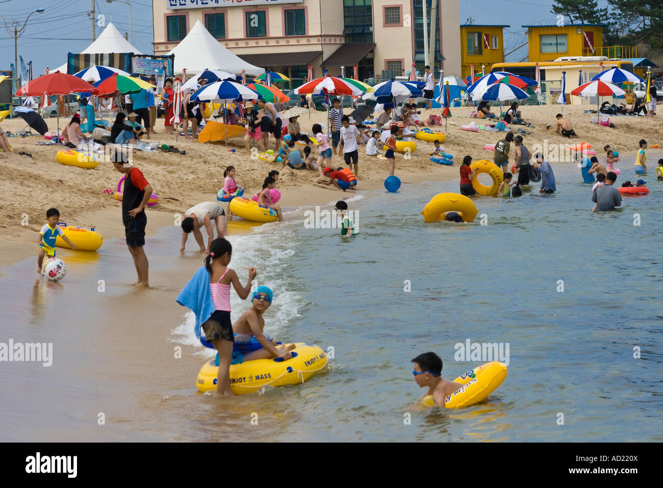 Korean People Enjoying Ocean and Beach Sokcho South Korea Stock Photo ...