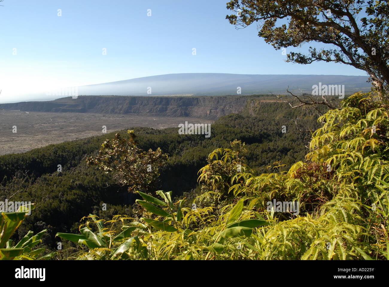 View of the Kilauea Caldera in the Hawaii Volcanoes National Park with ...
