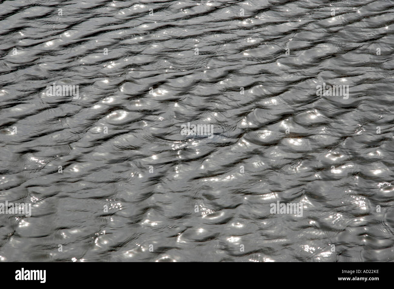Ripples in water hi-res stock photography and images - Alamy