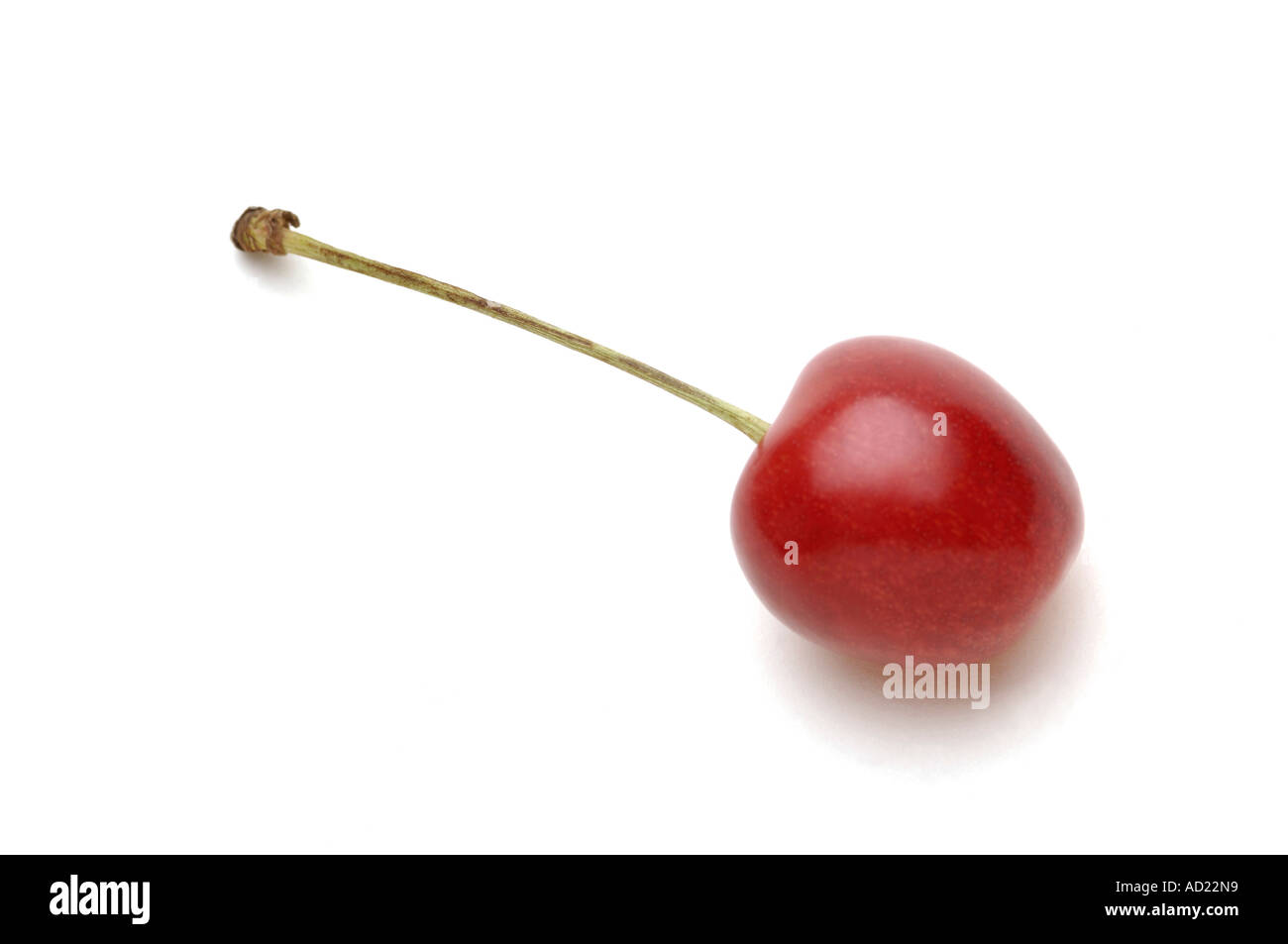 Best fruits of india Cut Out Stock Images & Pictures - Alamy