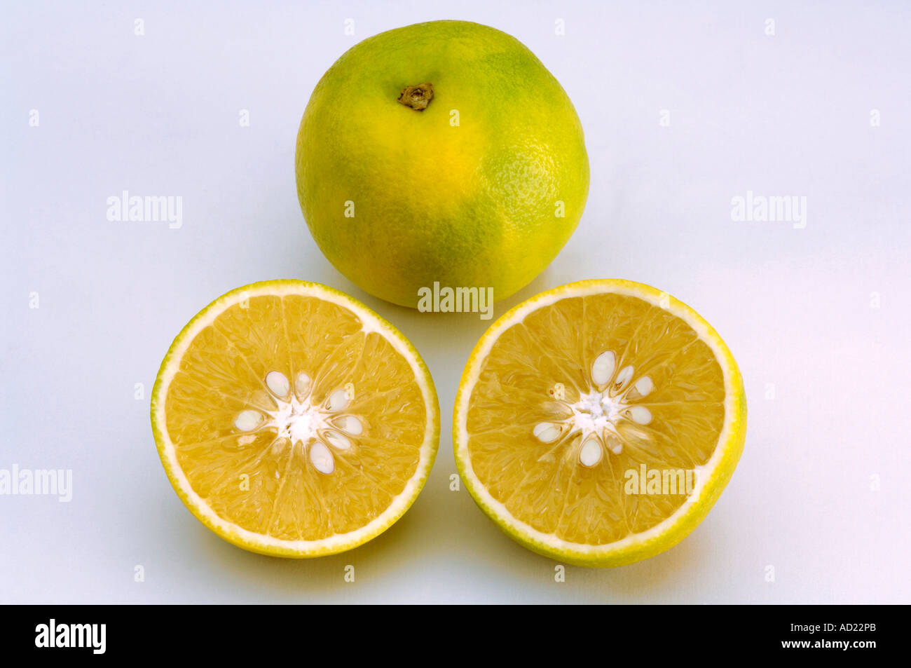 HMA71762 One full uncut Sweet Lime and one cut two half green yellow ...
