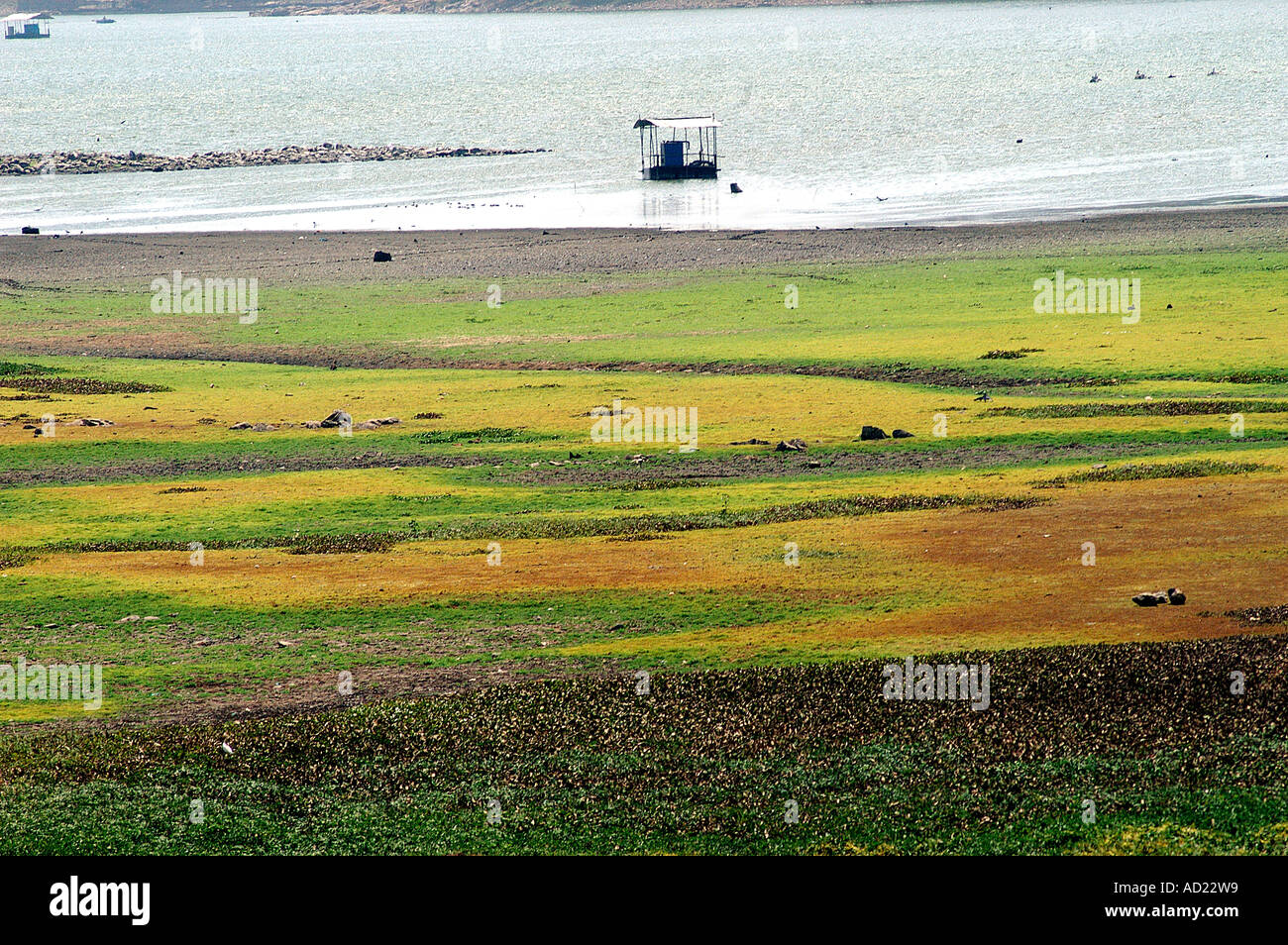 Powai lake hi-res stock photography and images - Alamy