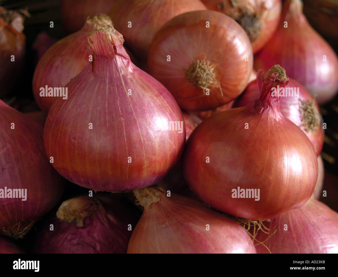 ADC72739 Food eatables red onion vegetable tangy Stock Photo - Alamy