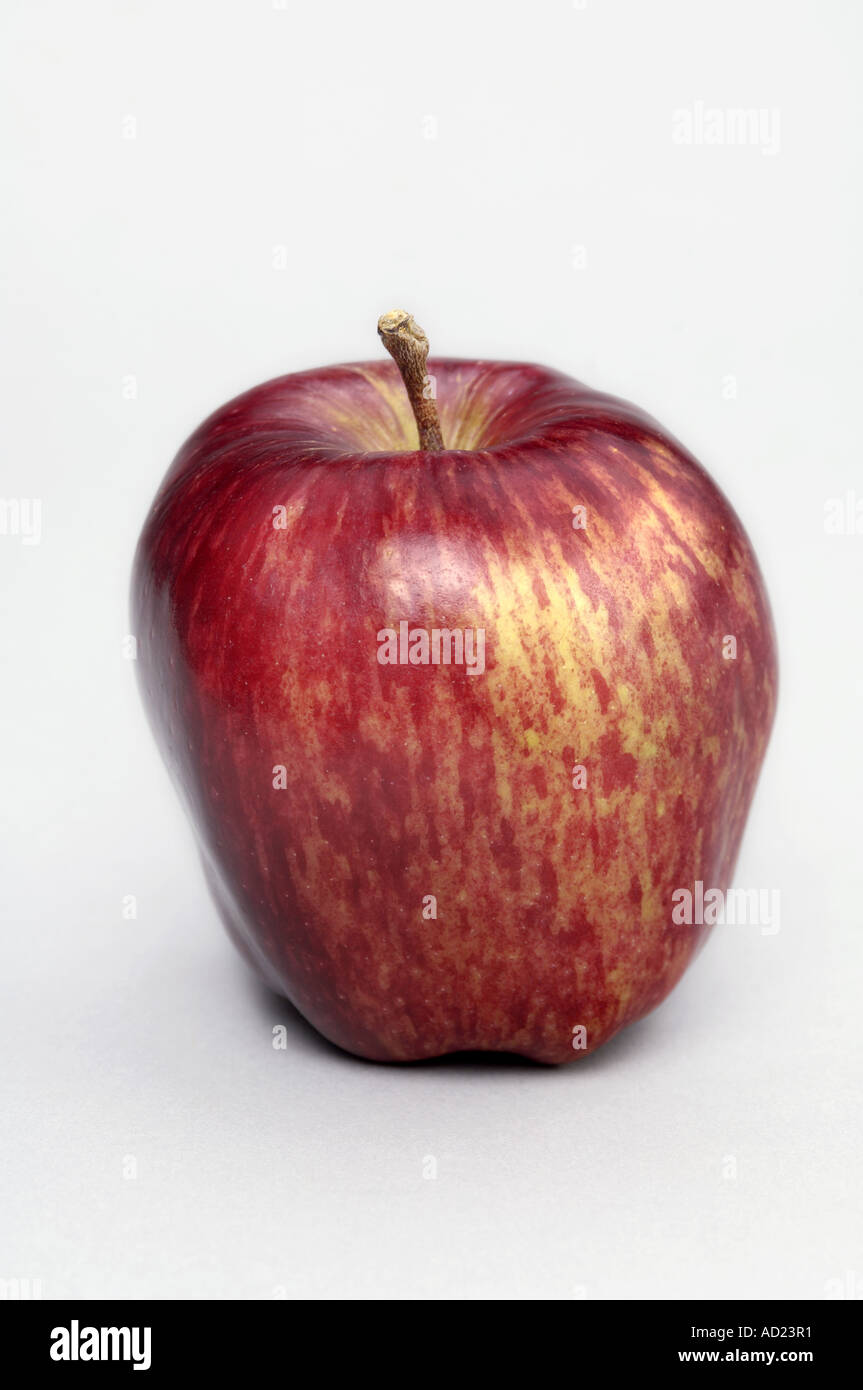 HMA72794 Fruit one full piece red color Apple uncut with gray ...