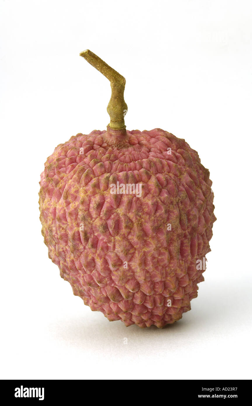 HMA72799 Fruits one red litchi uncut with white background Stock Photo ...