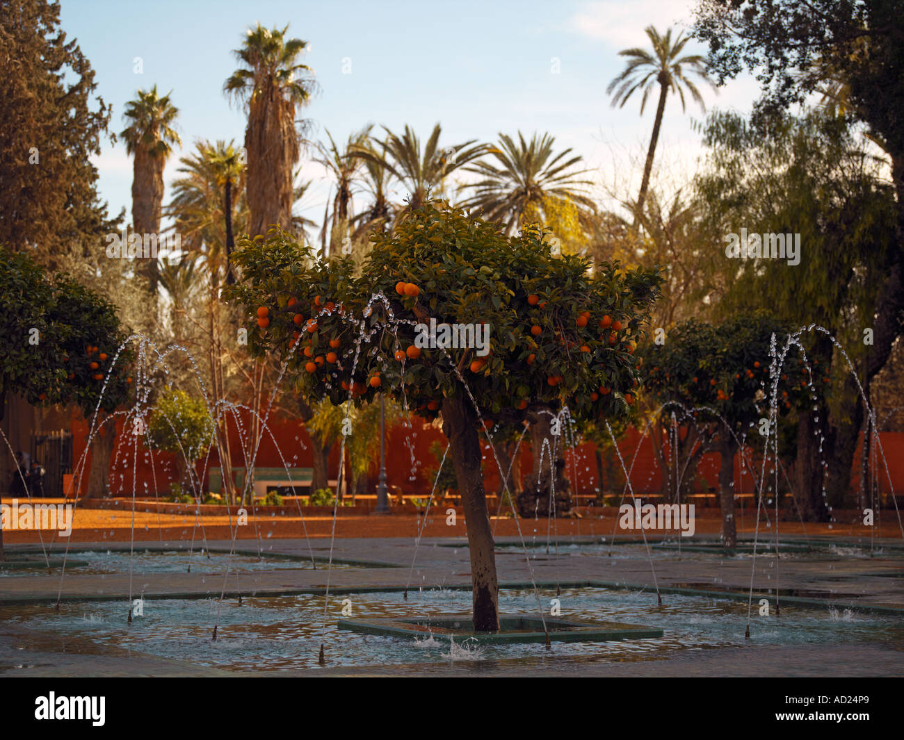 Cyber parc marrakech hi-res stock photography and images - Alamy