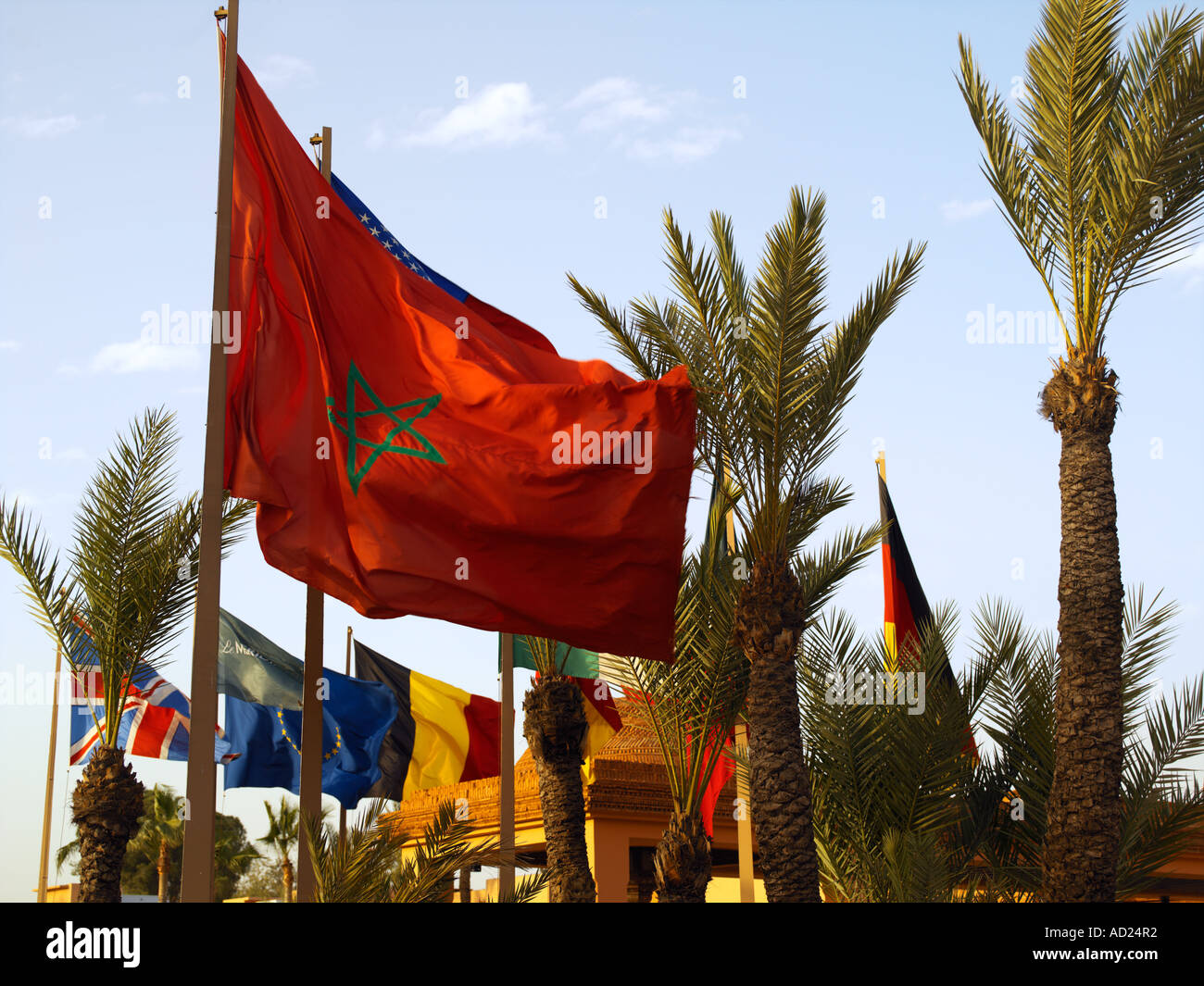 African national flags hi-res stock photography and images - Alamy