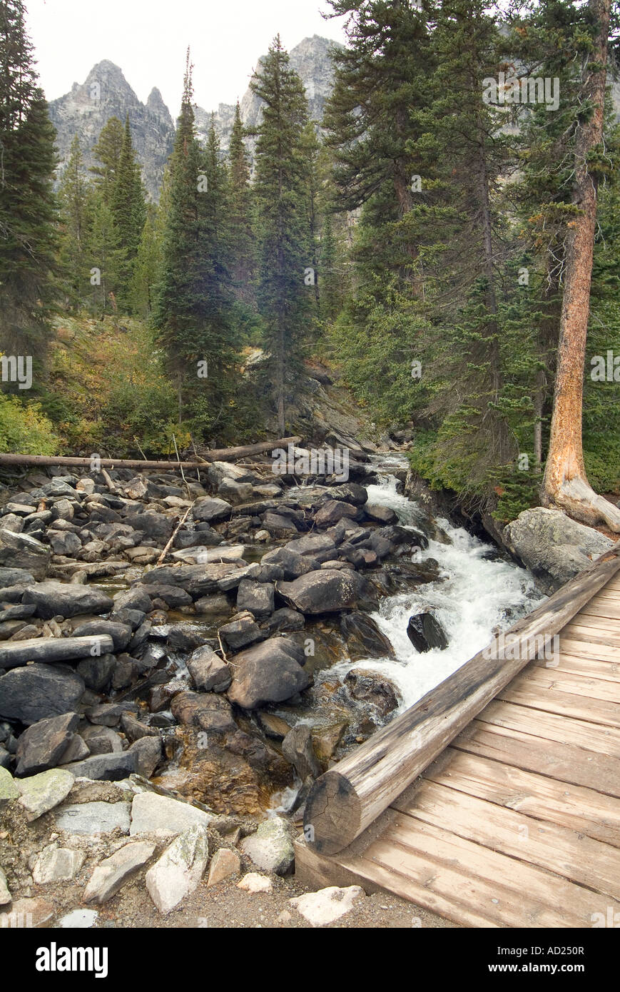 Hidden Falls. Grand Teton National Park. Wyoming State. USA Stock Photo ...