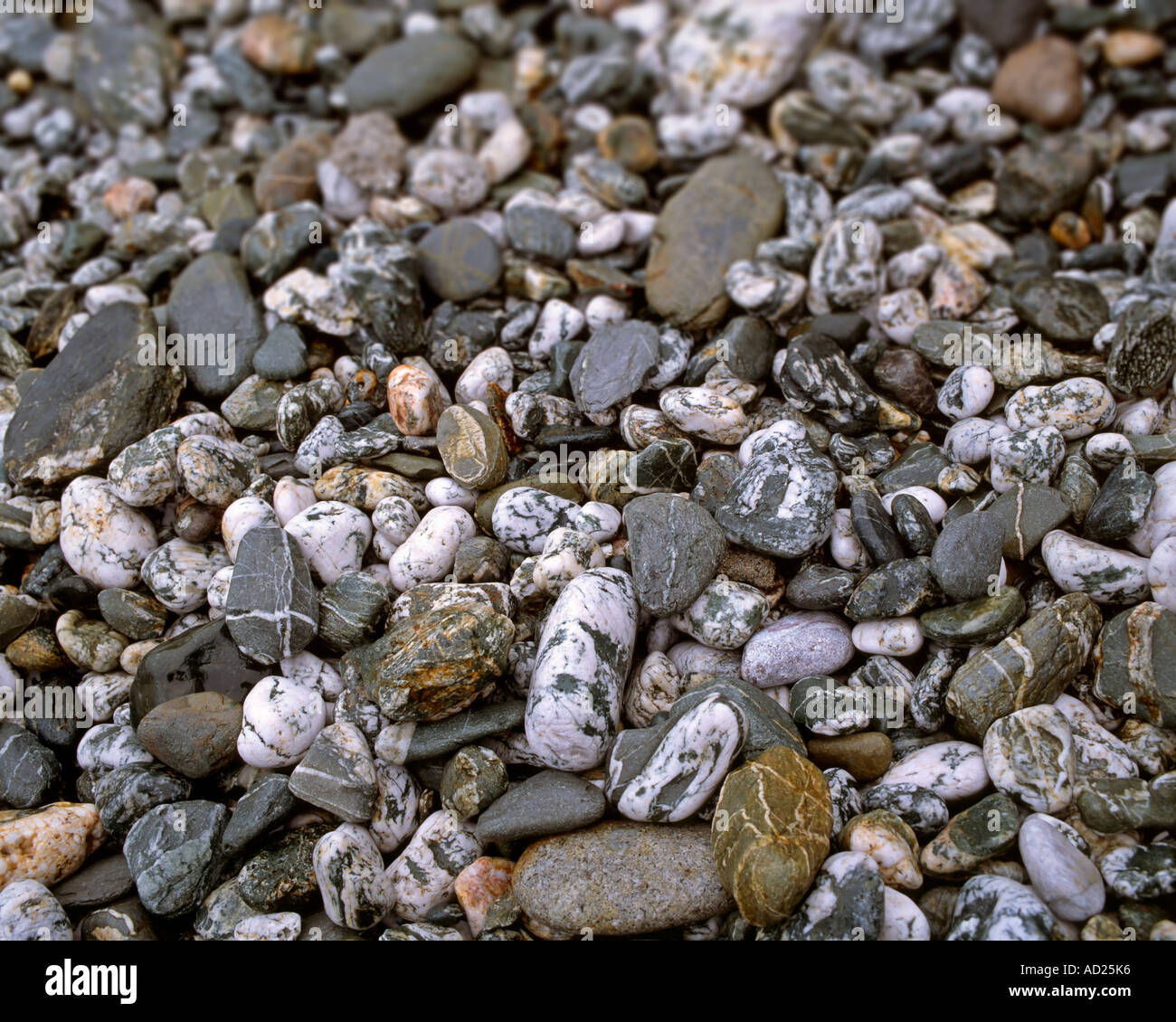 Pebbles on St Agnes Beach Cornwall England Stock Photo - Alamy