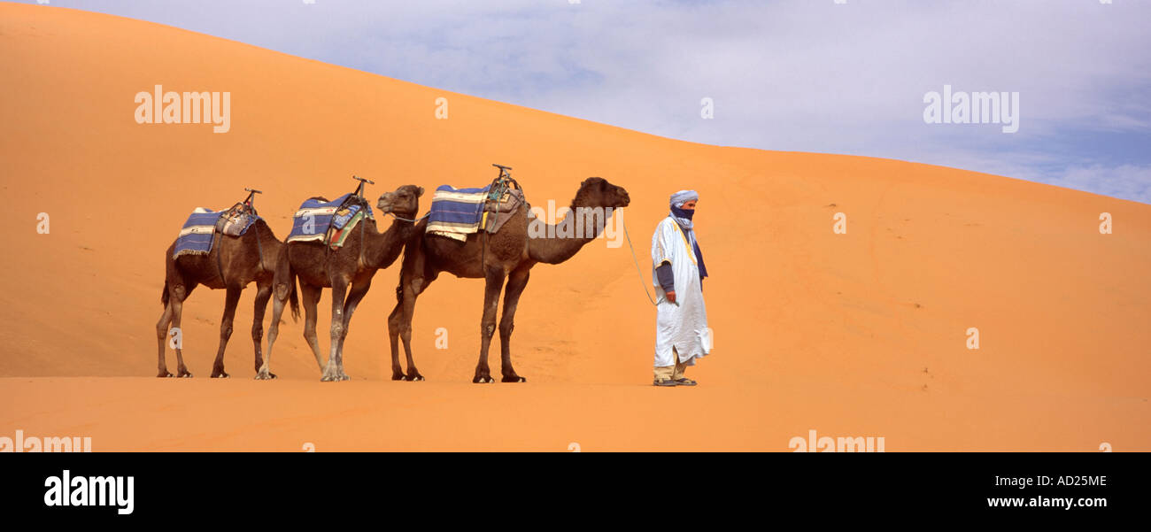 Tuareg camel train sahara desert hi-res stock photography and images ...