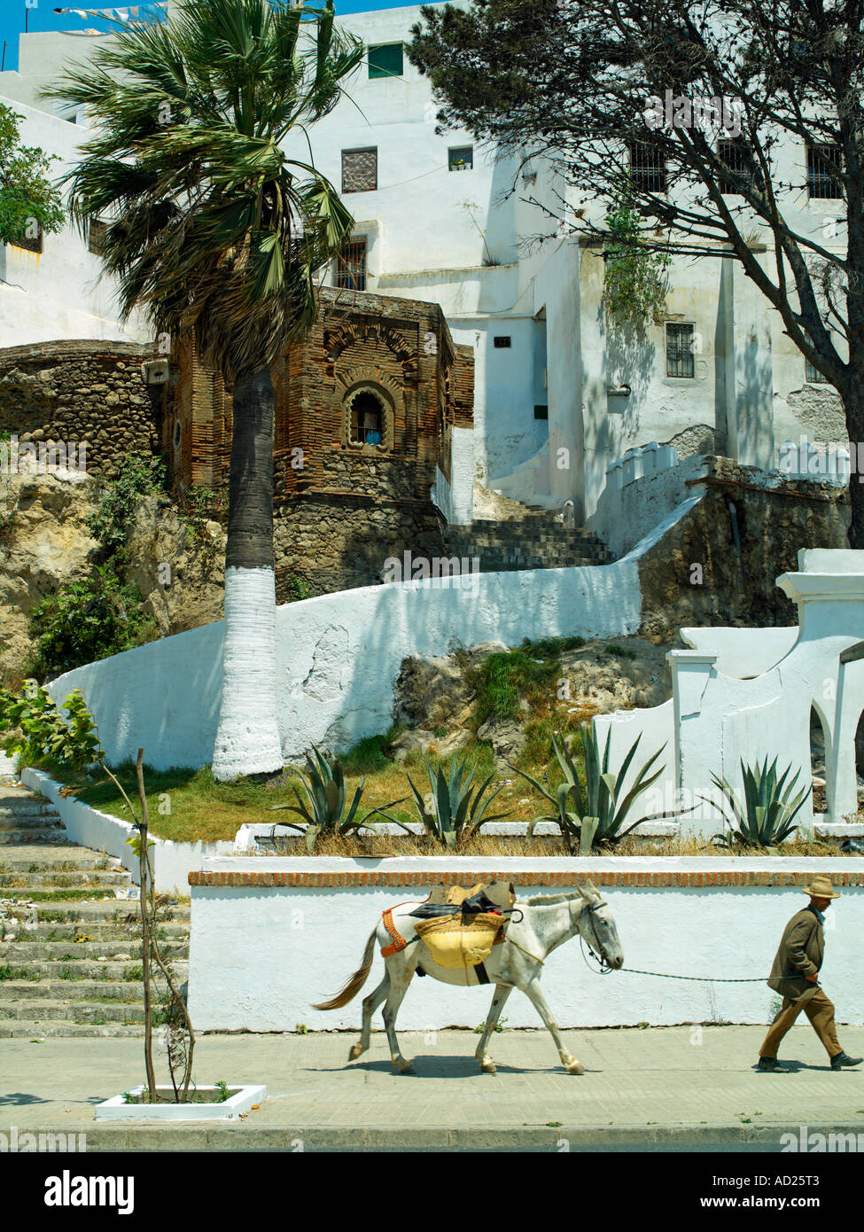 Tetouan mellah hi-res stock photography and images - Alamy