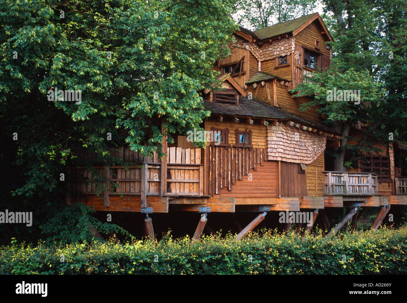 Tree house at Alnwick Gardens in Northumberland UK Stock Photo - Alamy