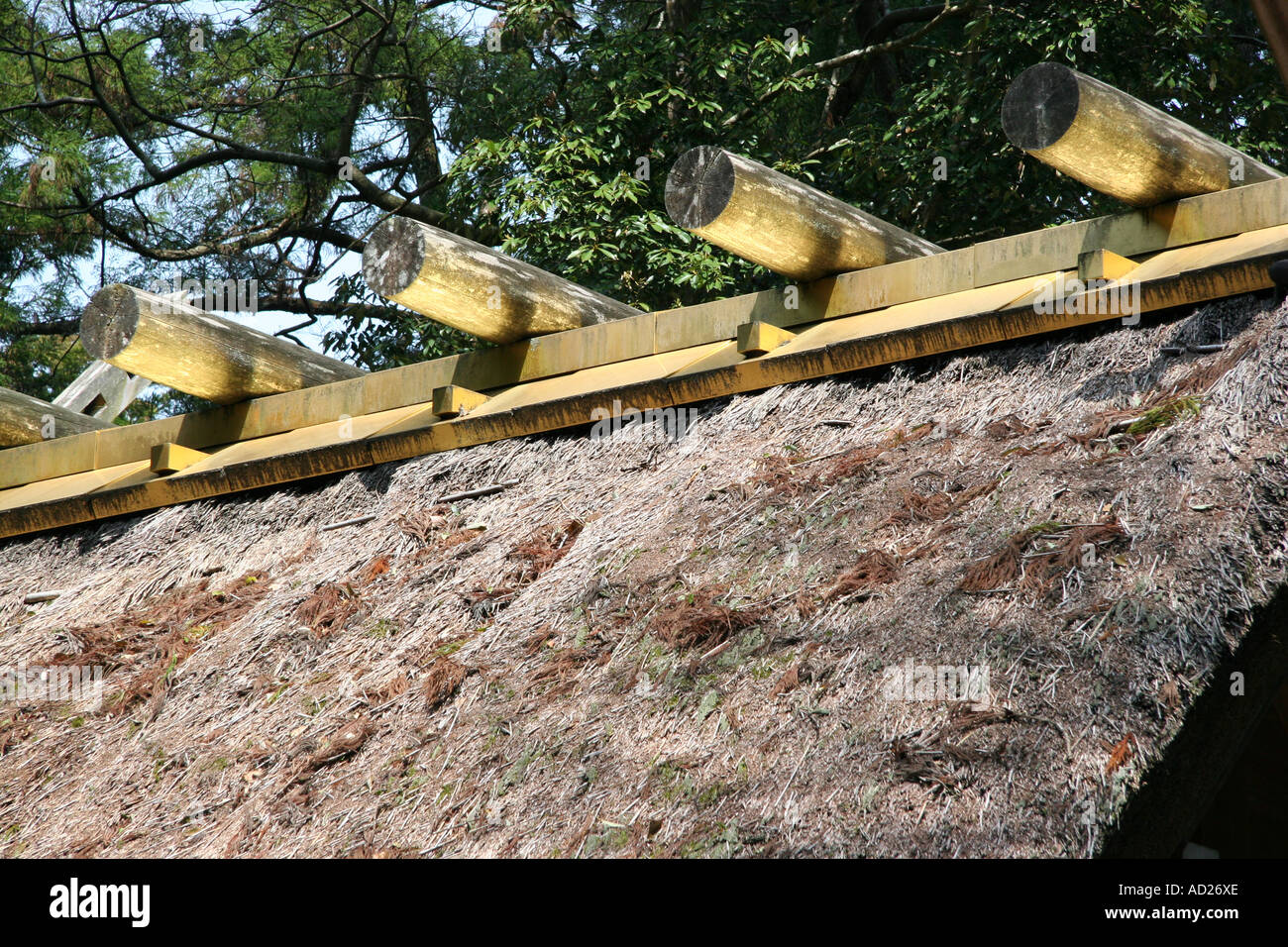 Roof detail of shrine building at Ise jingu in Japan Stock Photo - Alamy