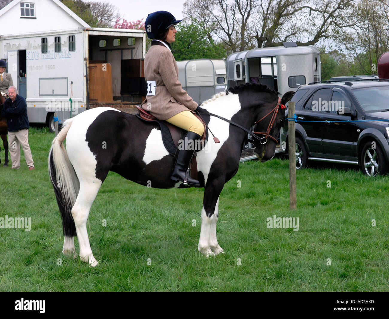 Piebald Pony High Resolution Stock Photography and Images - Alamy
