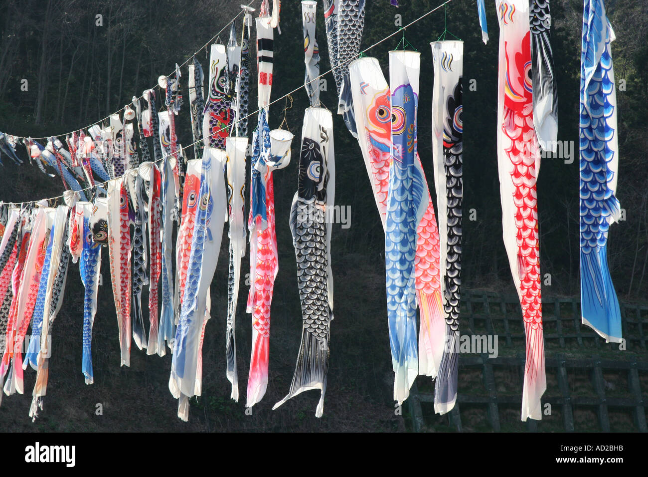 Carp banners hi-res stock photography and images - Alamy