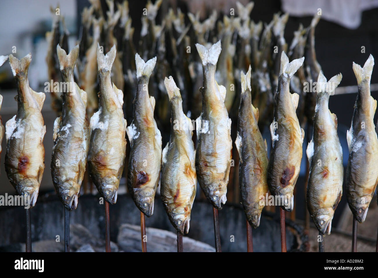 Japanese sweetfish hi-res stock photography and images - Alamy