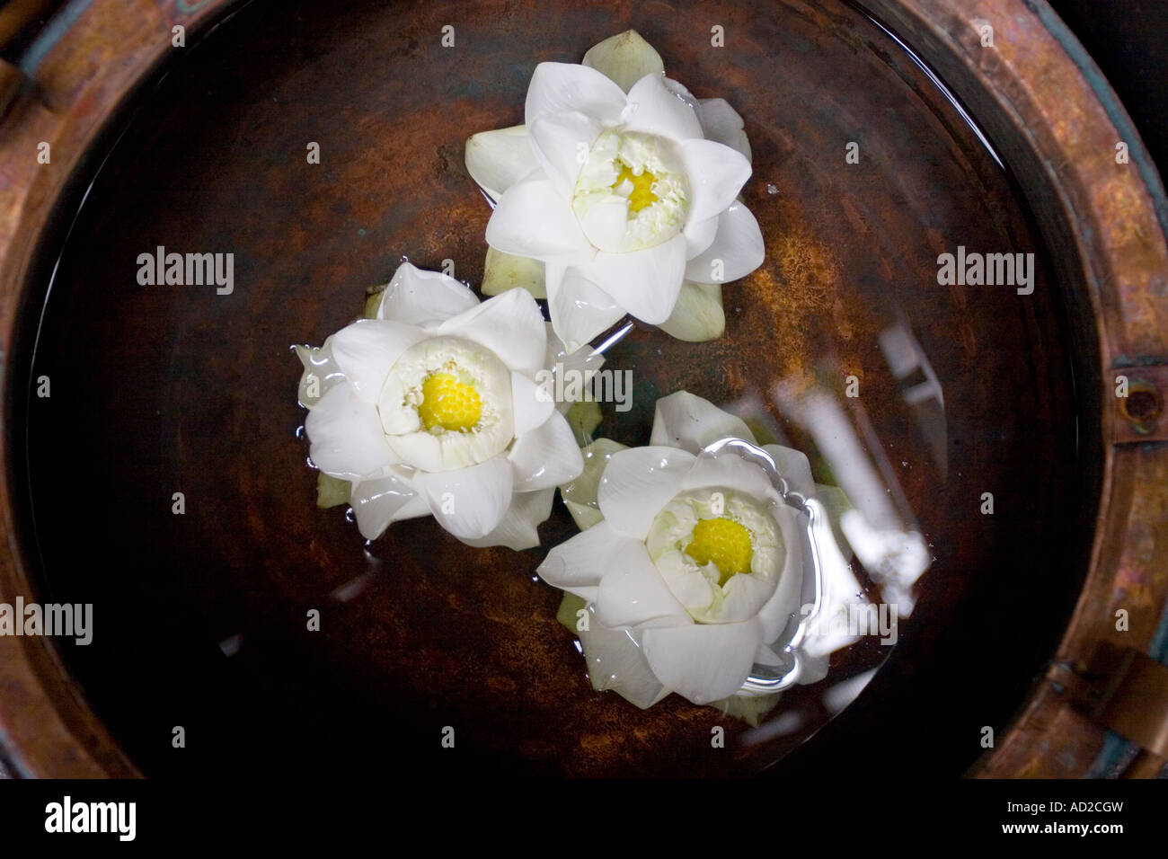 Lotus flowers in the high end Spa treatment at the Shangri-La Hotel in ...