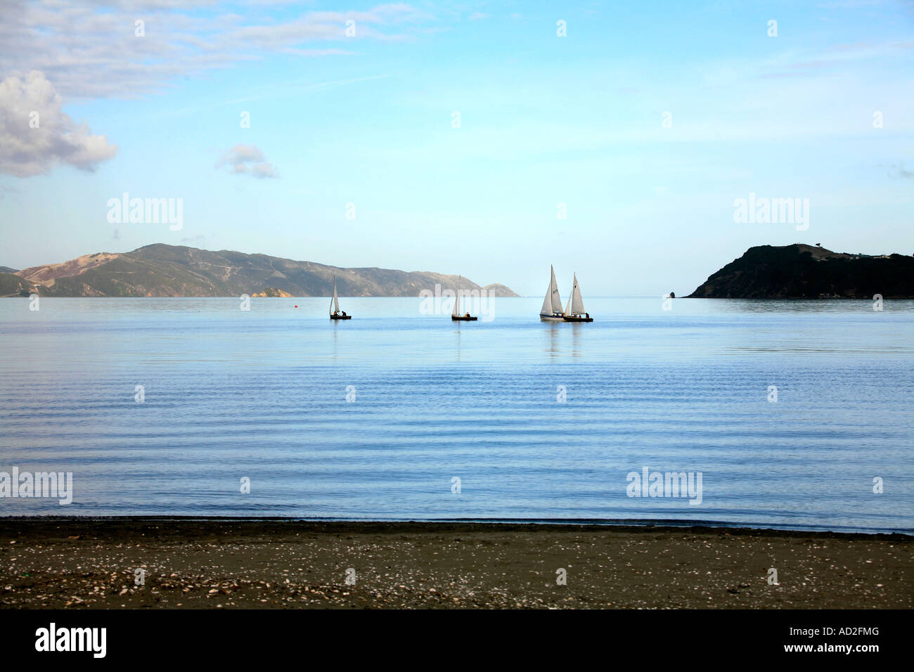 Port nicholson hi-res stock photography and images - Alamy