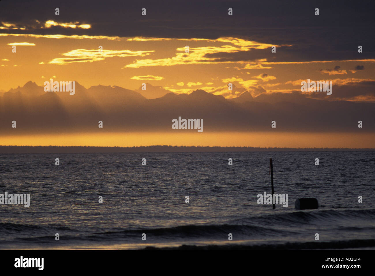 set net site for sockeye salmon Oncorhynchus nerka commercial fishing ...