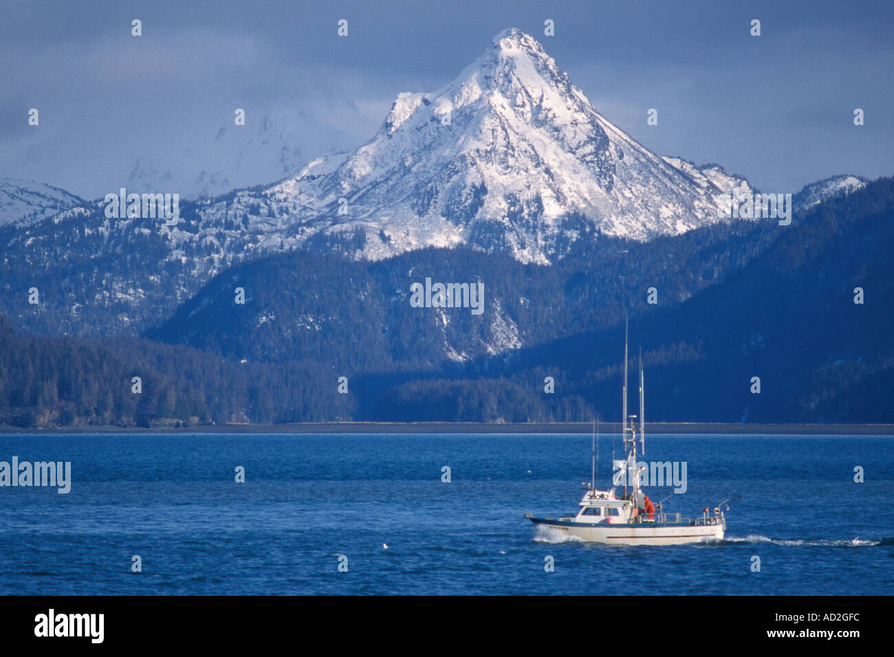 commerical fishing vessel coming into the Homer boat harbor Homer ...