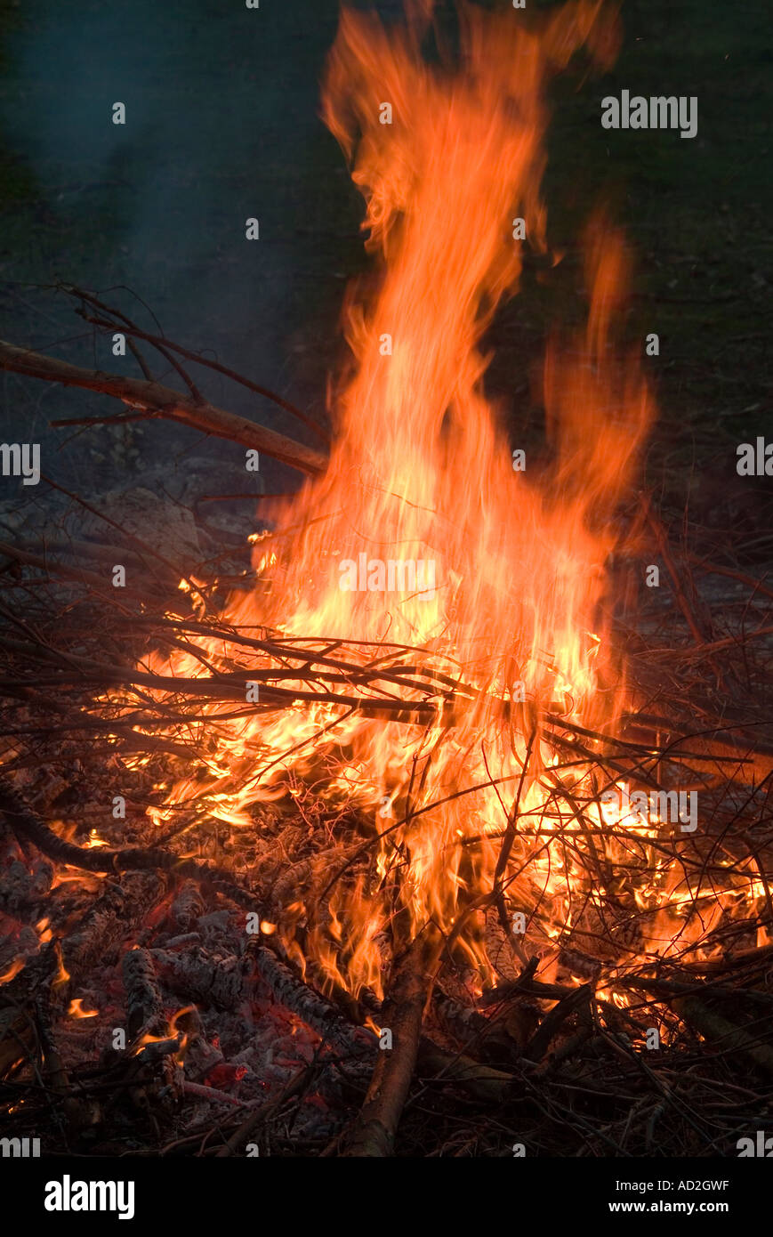 A backyard garden bonfire Stock Photo - Alamy