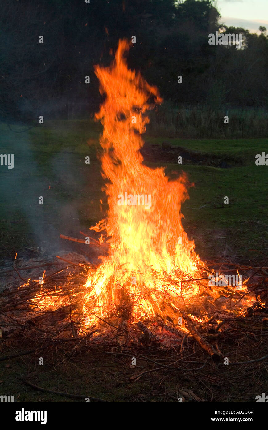 A backyard garden bonfire Stock Photo - Alamy