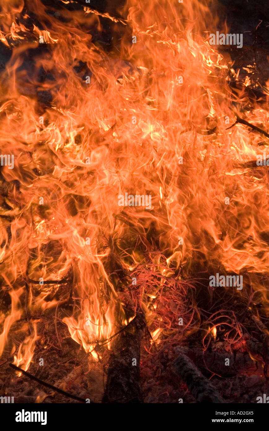 A backyard garden bonfire Stock Photo - Alamy